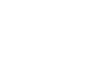 Ara Software Group – We Understand Software