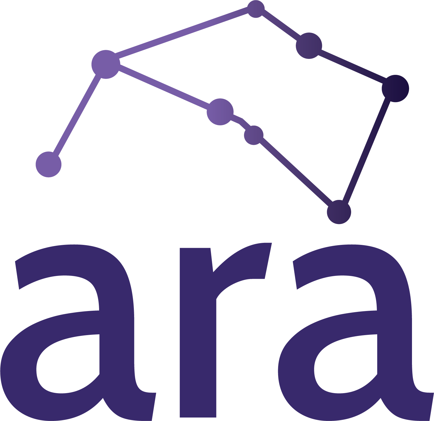 Ara Software Group – We Understand Software